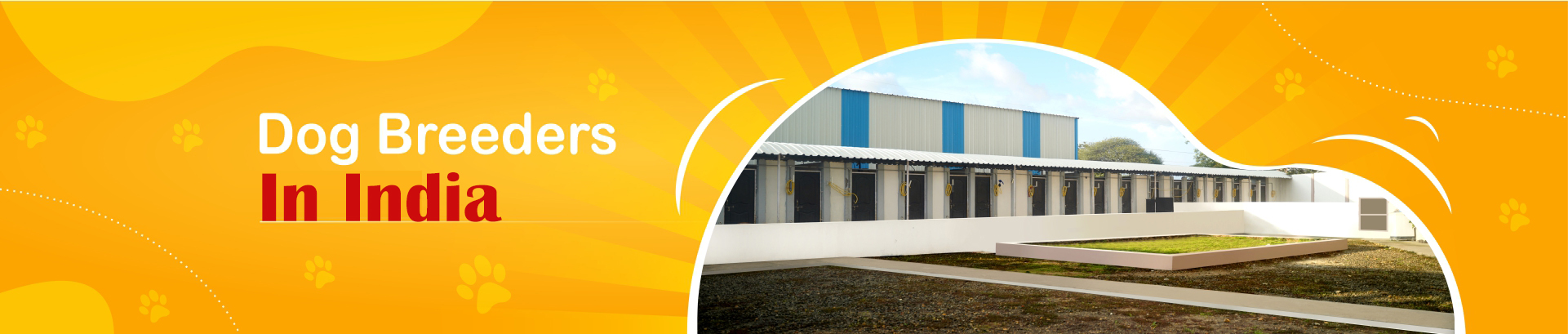 Dog Breeders In Pune | Dog For Sale in Pune | Puppies for Sale in Pune ...